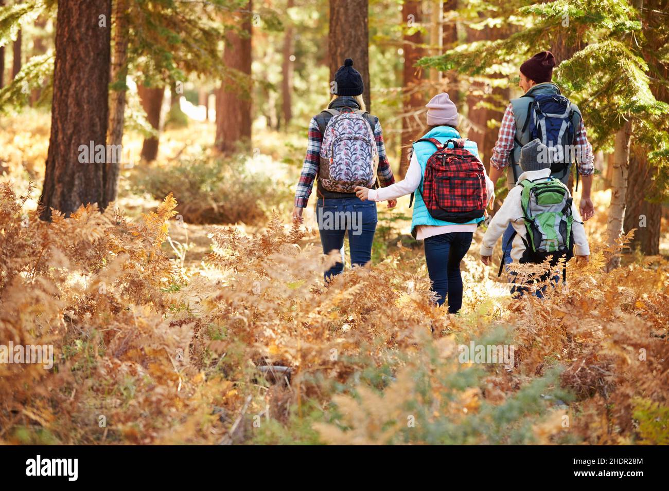 hiking, walk, walks Stock Photo - Alamy