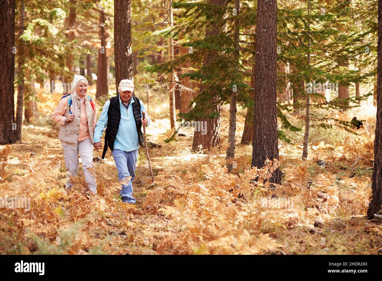 senior, outdoor, walk, elderly, old, seniors, outdoors, walks Stock ...