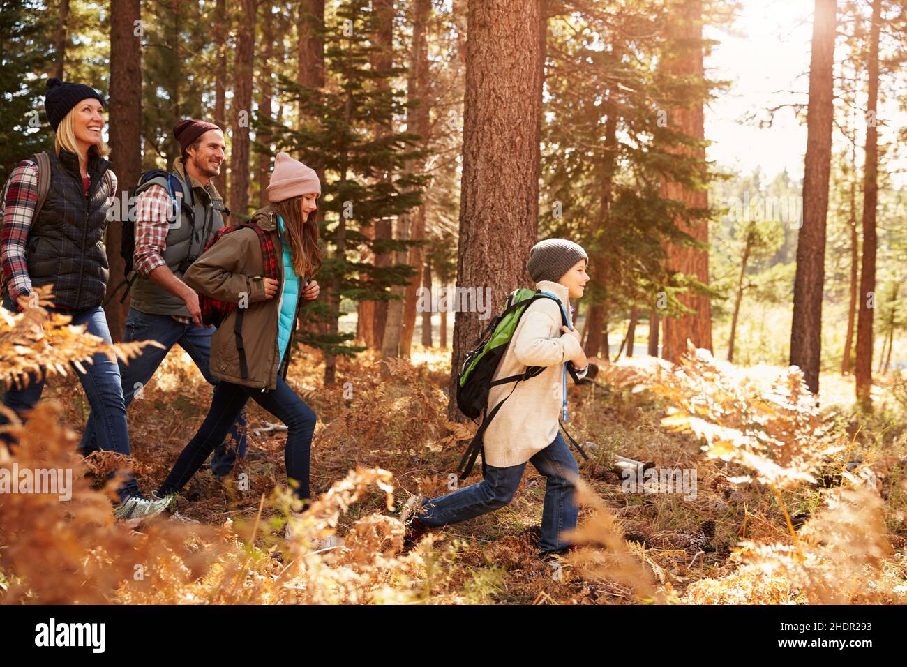 walk, family outing, nature, walks, natur, natures Stock Photo - Alamy