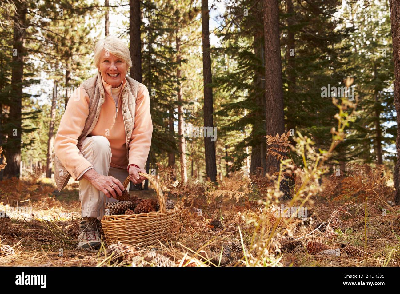 senior, walk, elderly, old, seniors, walks Stock Photo - Alamy
