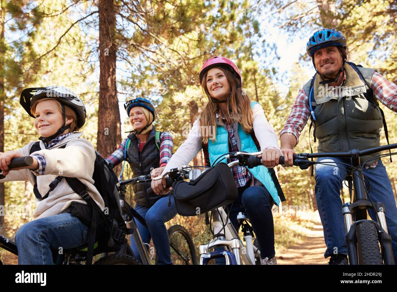 Family forest trips hi-res stock photography and images - Alamy