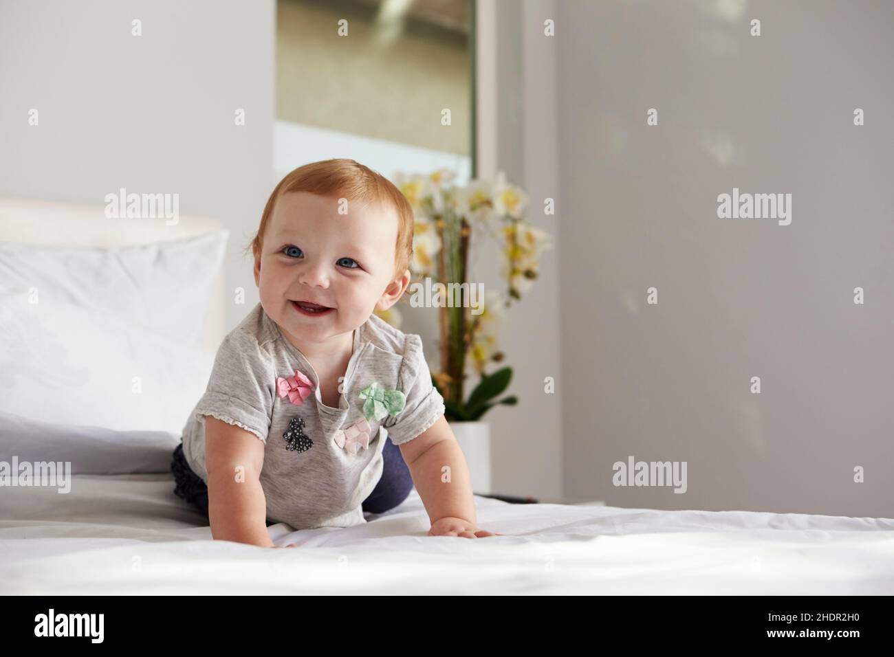 baby, crawling, babe, babies, human babies Stock Photo - Alamy