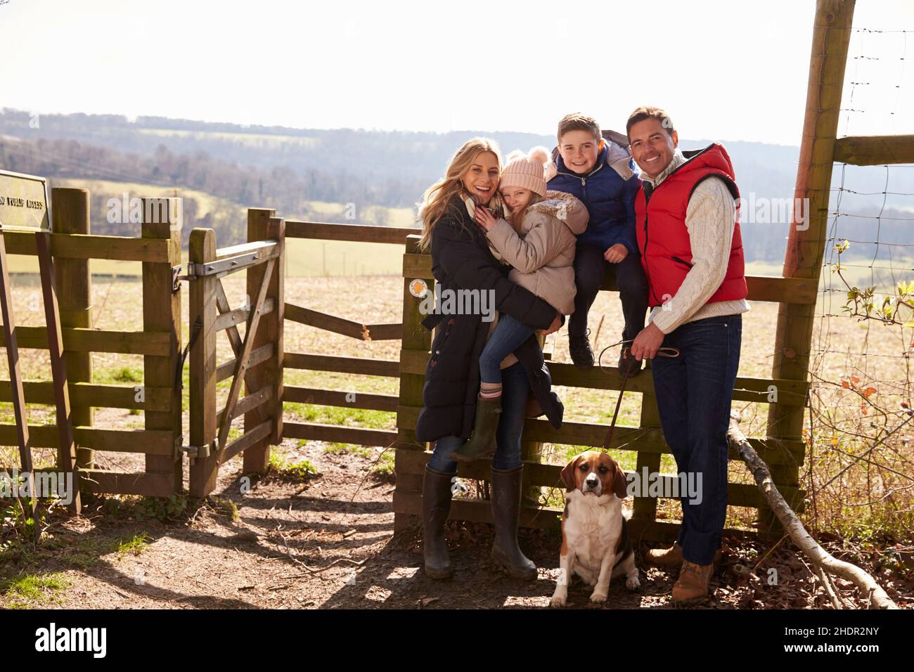 family dog, family outing, family dogs Stock Photo - Alamy
