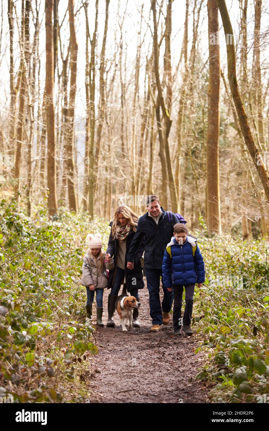 family, walk, families, walks Stock Photo - Alamy