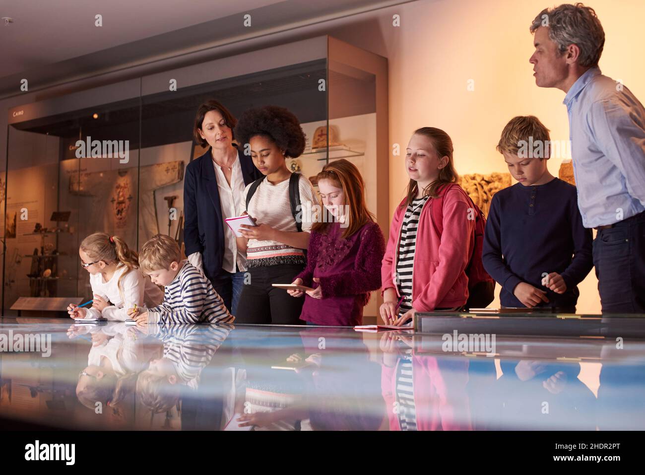 education, museum, school class, school excursion, educations, museums ...