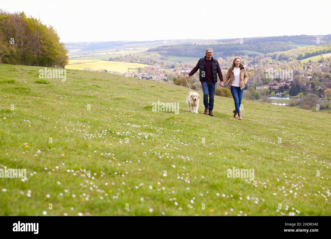 walk, walk the dog, walks, walk the dogs Stock Photo - Alamy