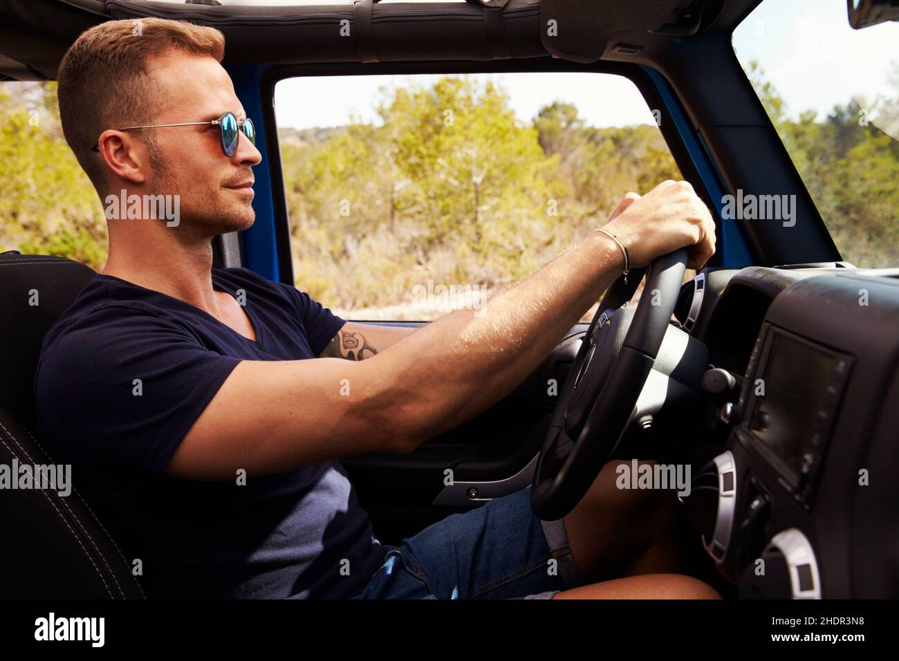 driving, car trip, car driver, drive, car journey, car ride, road trip ...