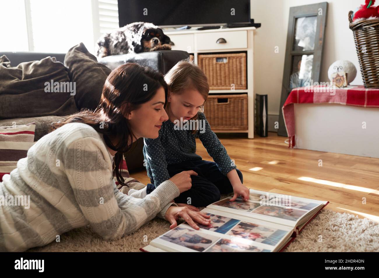 childhood, photo album, family photos, childhoods, children, kid, kids ...