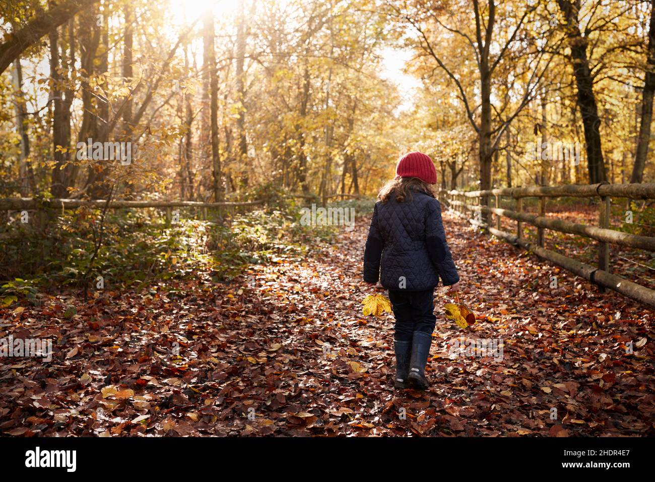 path, childhood, walk, paths, childhoods, children, kid, kids, walks ...