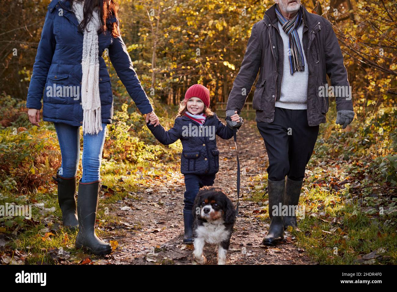 grandfather, child, parent, walk, family, grandfathers, children ...