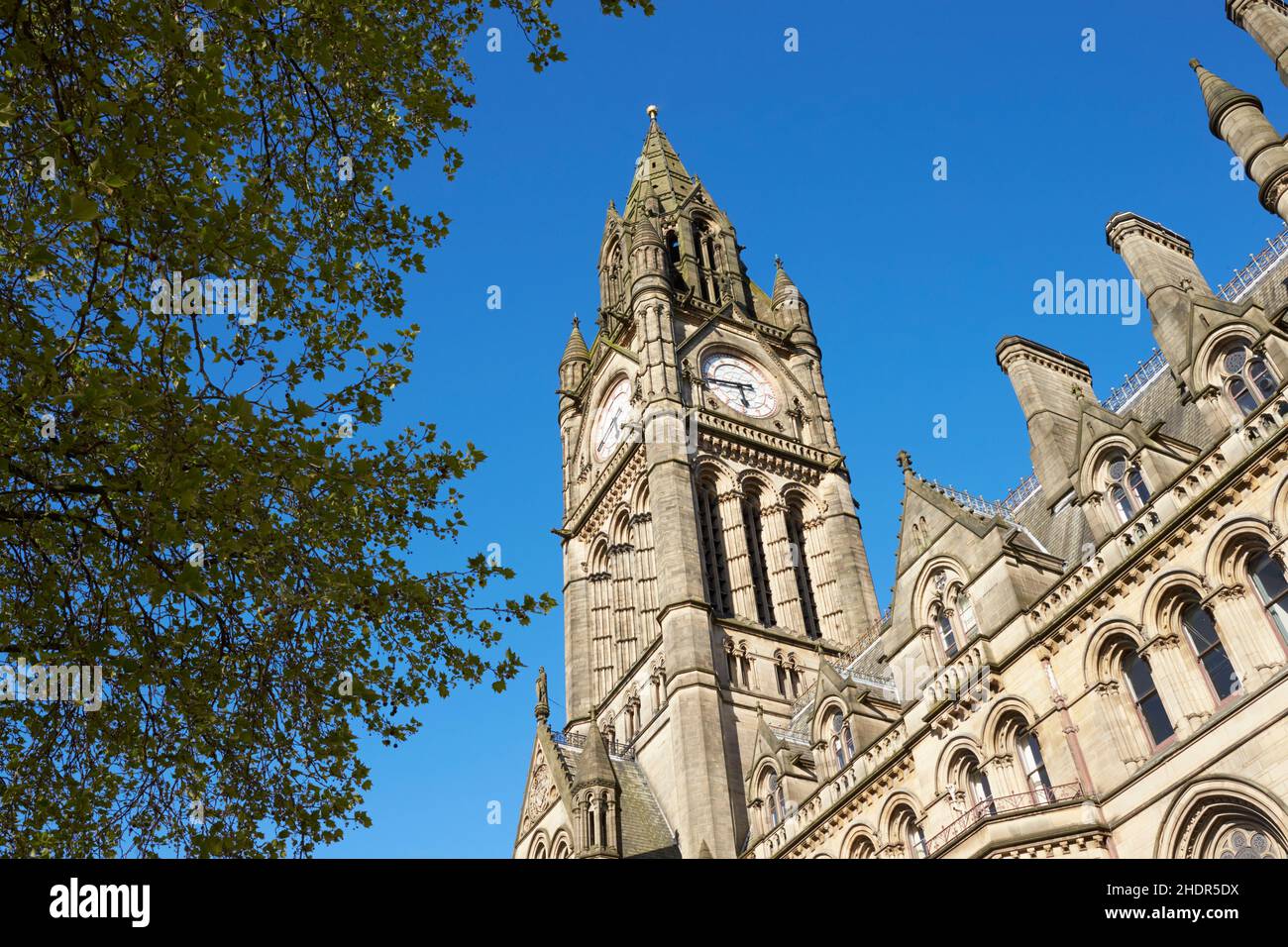 town hall, town halls Stock Photo - Alamy