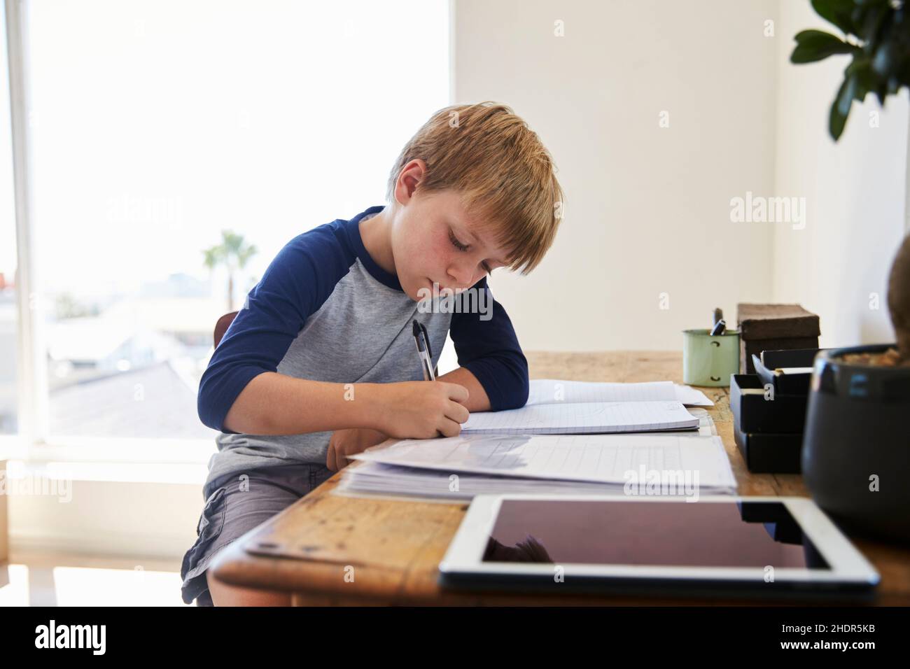 boy, homework, concentrated, boys, homeworks, concentrateds Stock Photo ...
