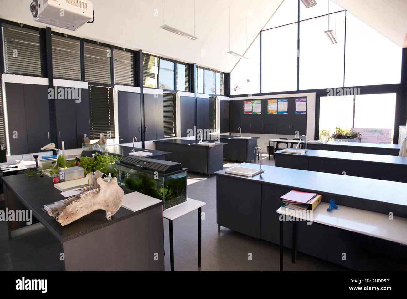 school, university, classroom, schools, universities, classrooms Stock ...