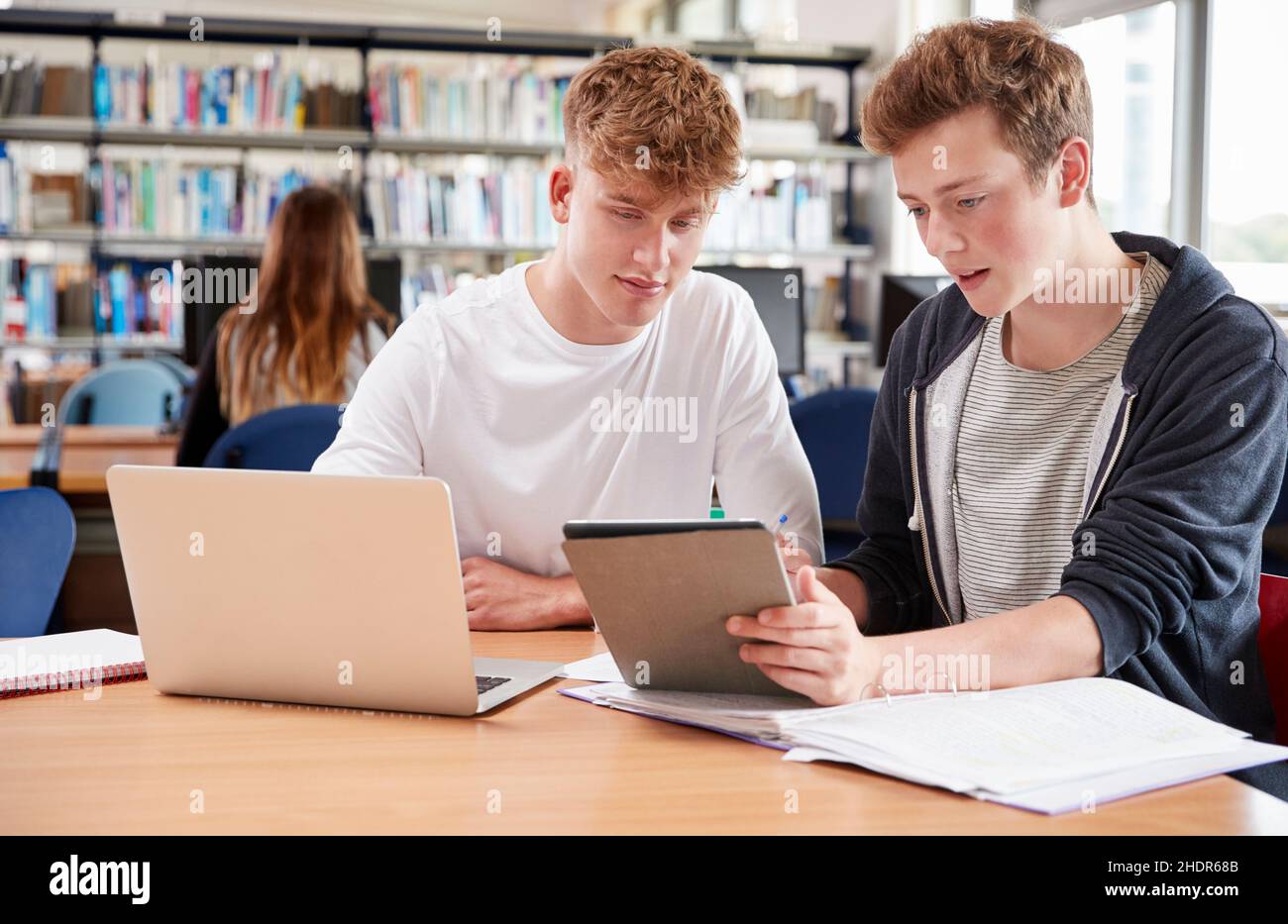 library, knowlege, students, concentrated, teamwork, project work, book ...