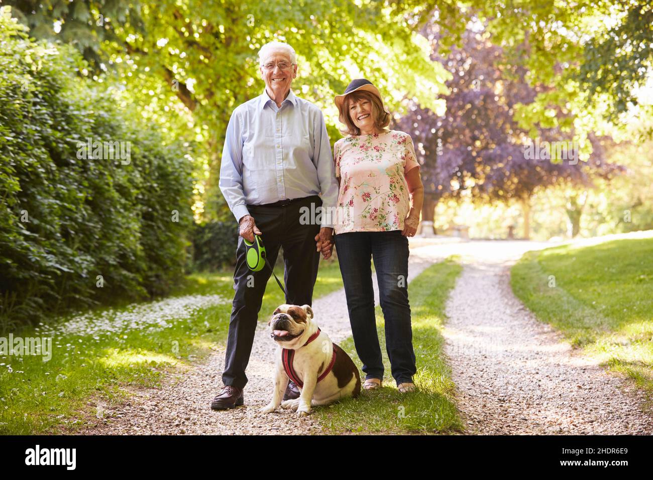 walk, bulldog, walk the dog, older couple, walks, bulldogs, walk the ...