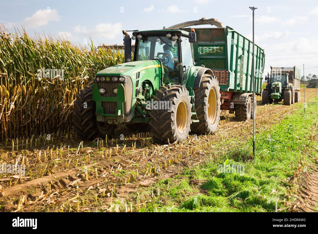 Process of corn silage harvest at farm Stock Photo - Alamy