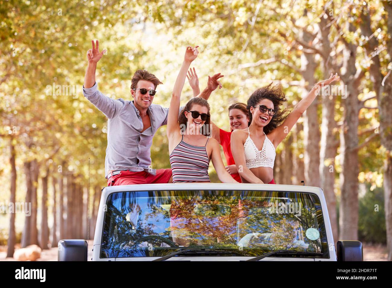 car trip, cheering, freedom, party mood, car journey, car ride, drive ...