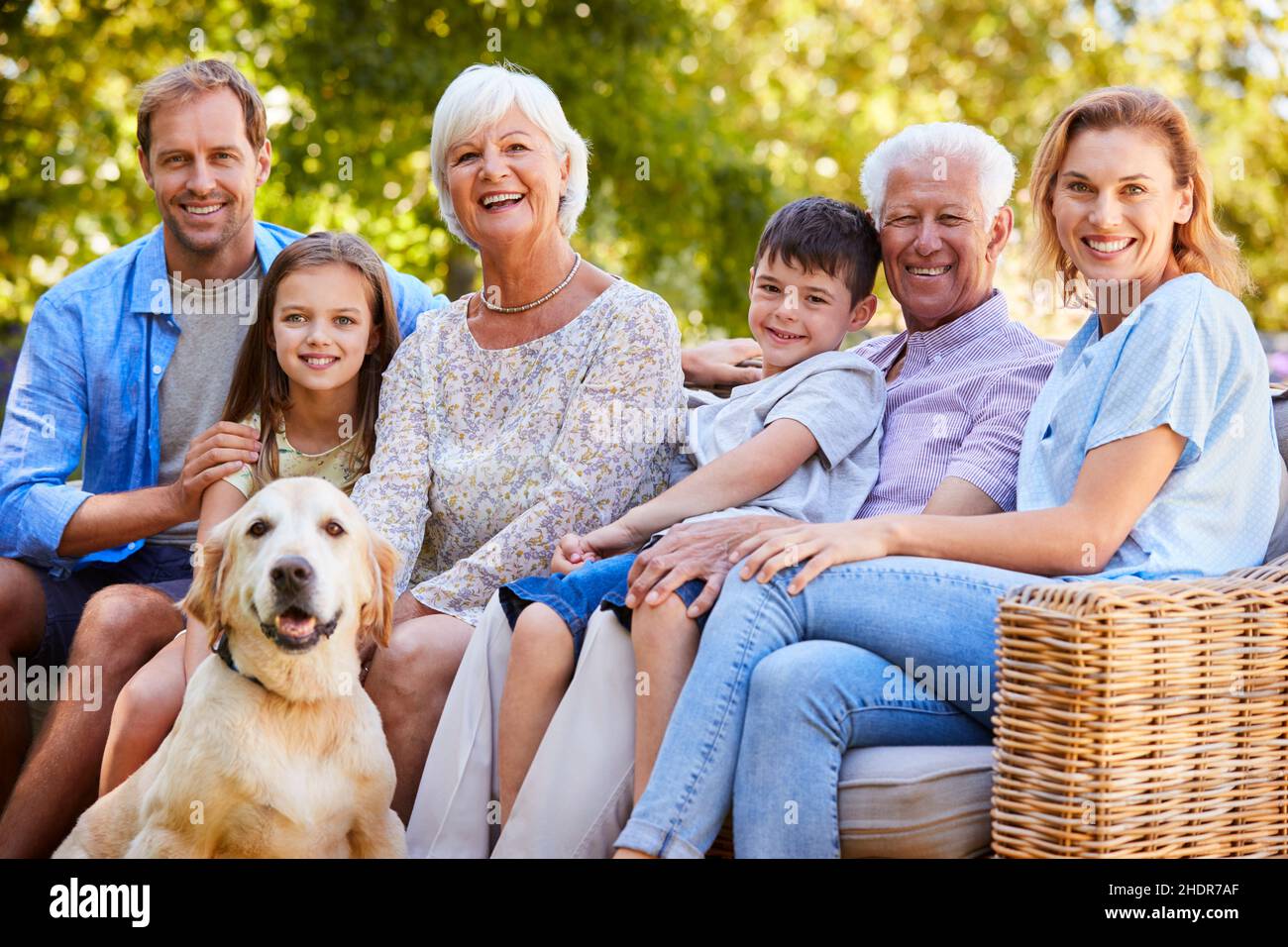 family, generations, family portrait, families, generation, family ...