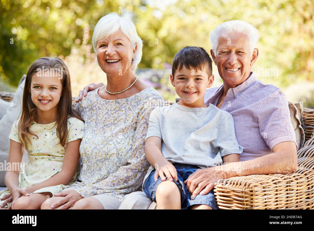 grandson, grandparent, family portrait, grandsons, grandparents, family ...