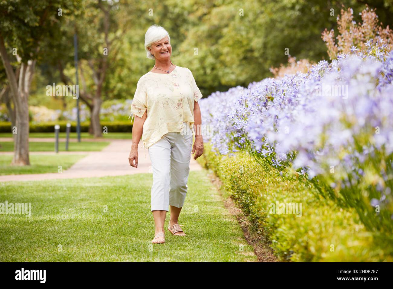 senior, park, walk, elderly, old, seniors, parks, walks Stock Photo - Alamy