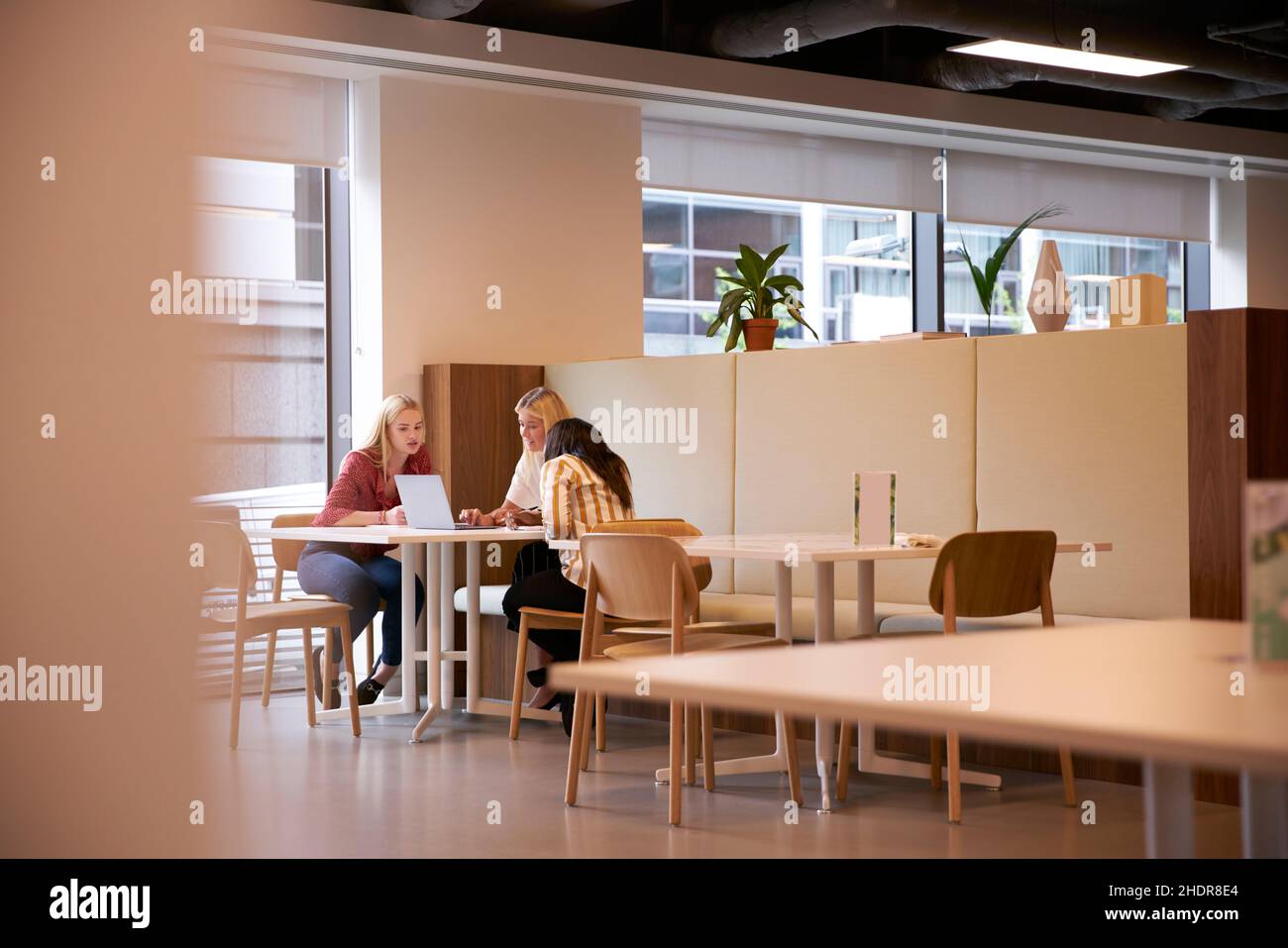 teamwork, organized group, teamworks, members, organized groups Stock ...