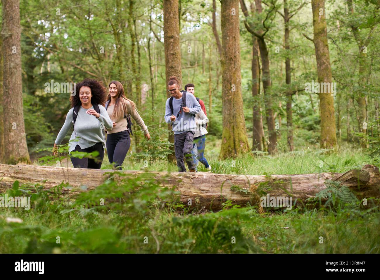 Friends adults woods hi-res stock photography and images - Alamy