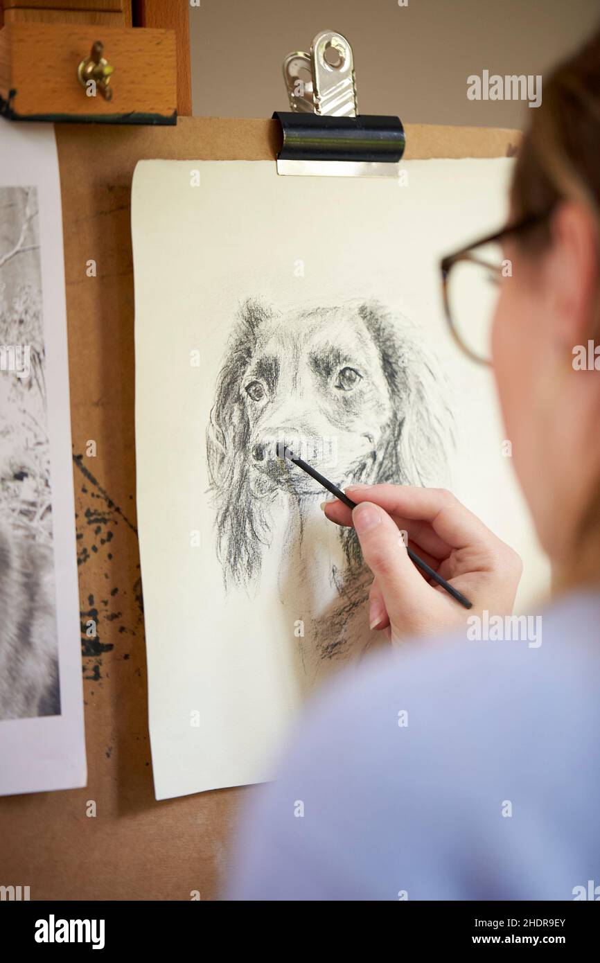 animal portrait, drawing, easel, animal portraits, easels Stock Photo ...