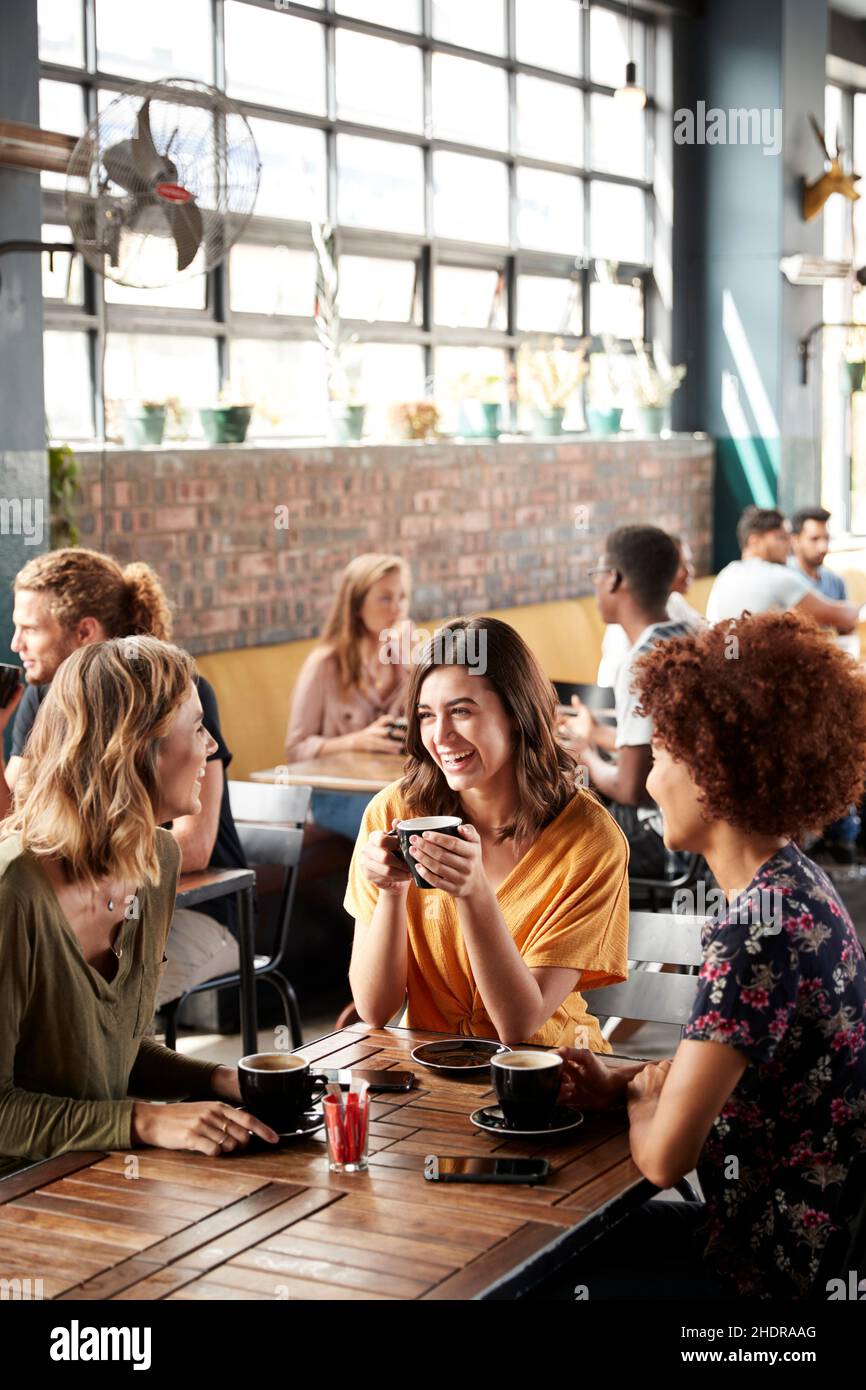 cafe, friends, meeting, cafes, friend, feedback Stock Photo - Alamy