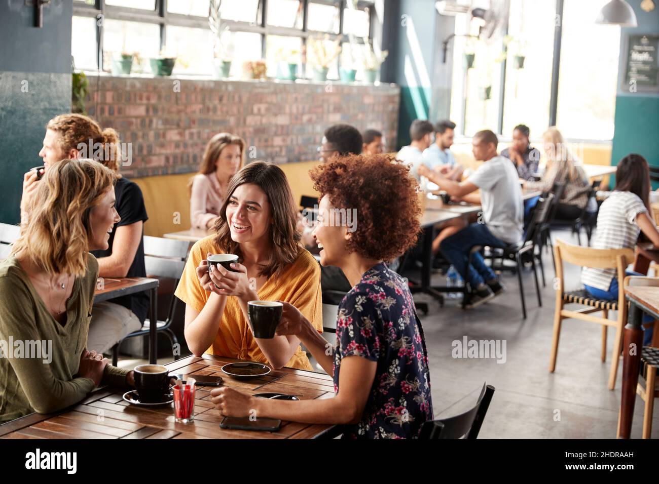cafe, friends, meeting, cafes, friend, feedback Stock Photo - Alamy