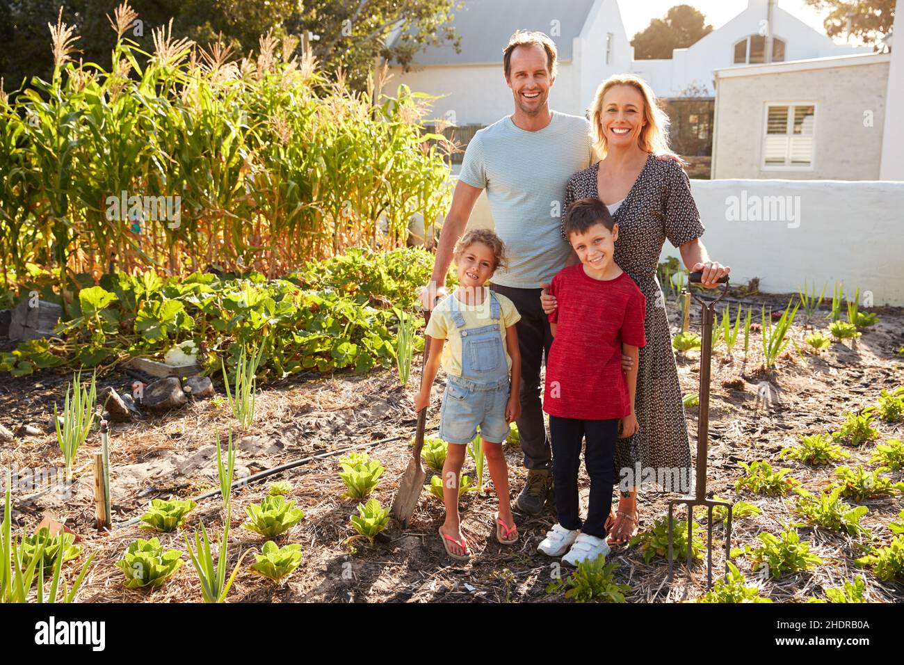 family, vegetable garden, group picture, families, vegetable gardens ...