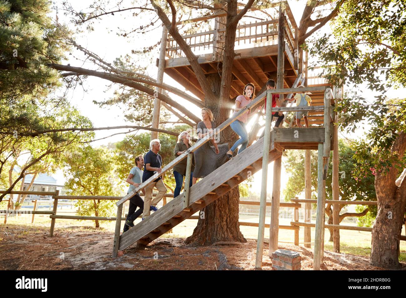leisure, family, upward, tree house, leisures, families, upwards, tree ...