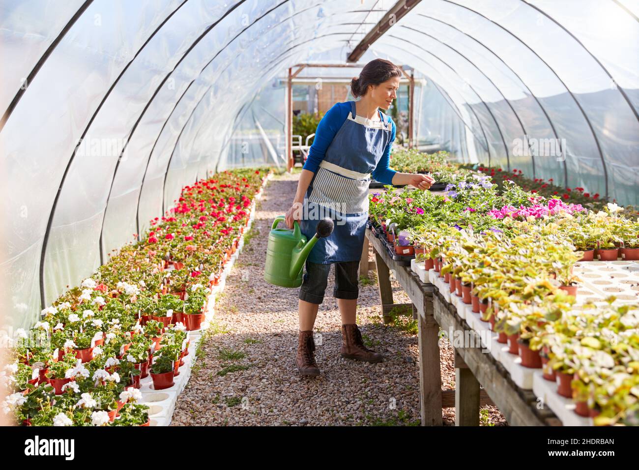 gardening, greenhouse, garden center, plant care, tending of plants ...