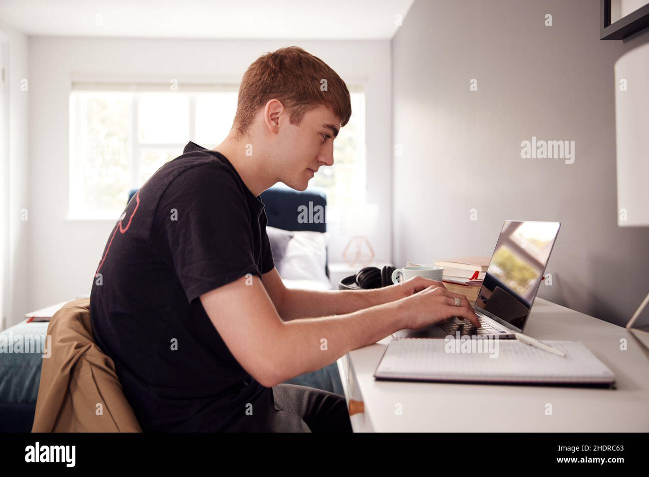 typing, laptop, online, college student, stenographer, computer ...