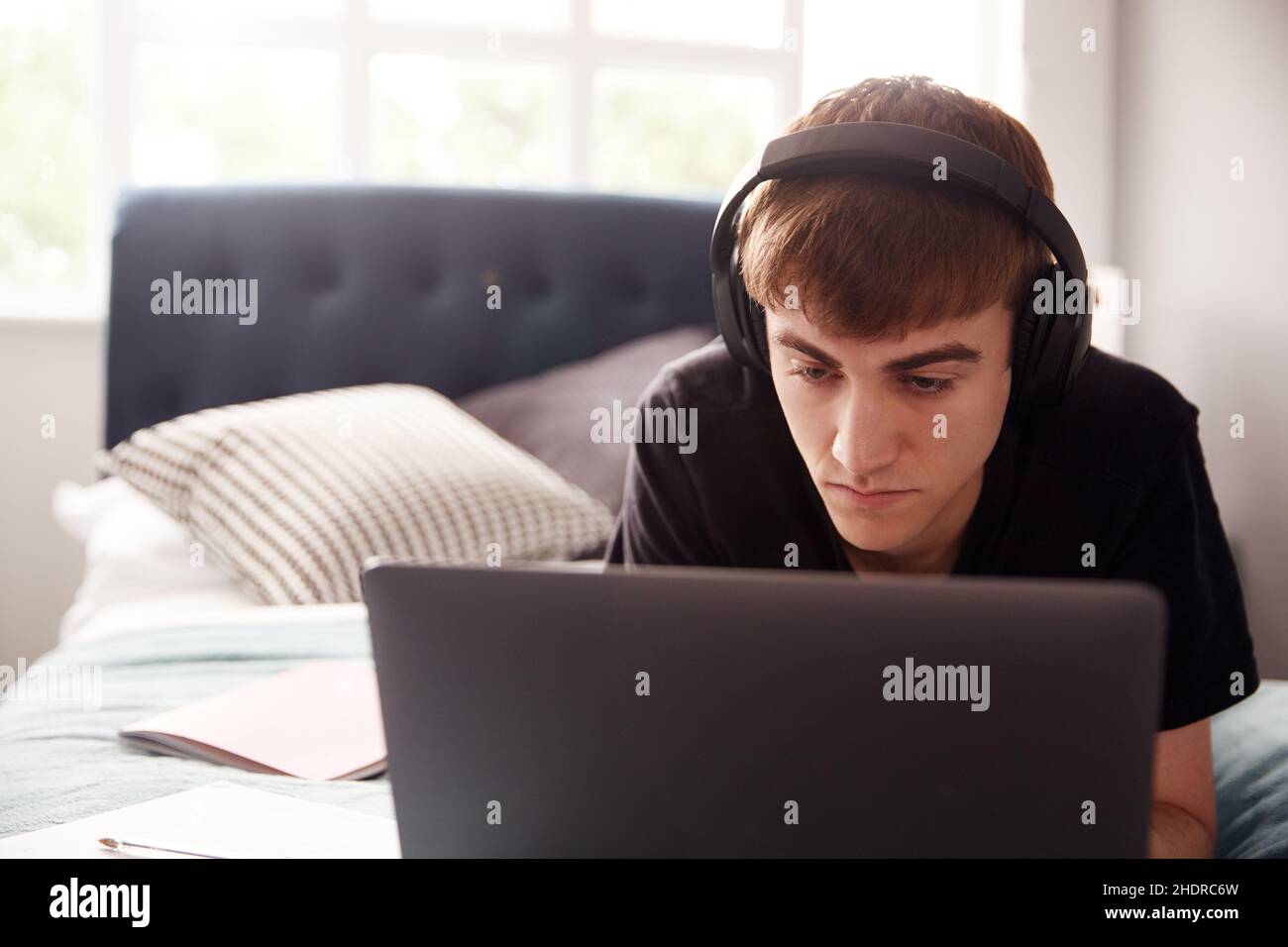 laptop, college student, concentrated, computer, computers, laptops ...