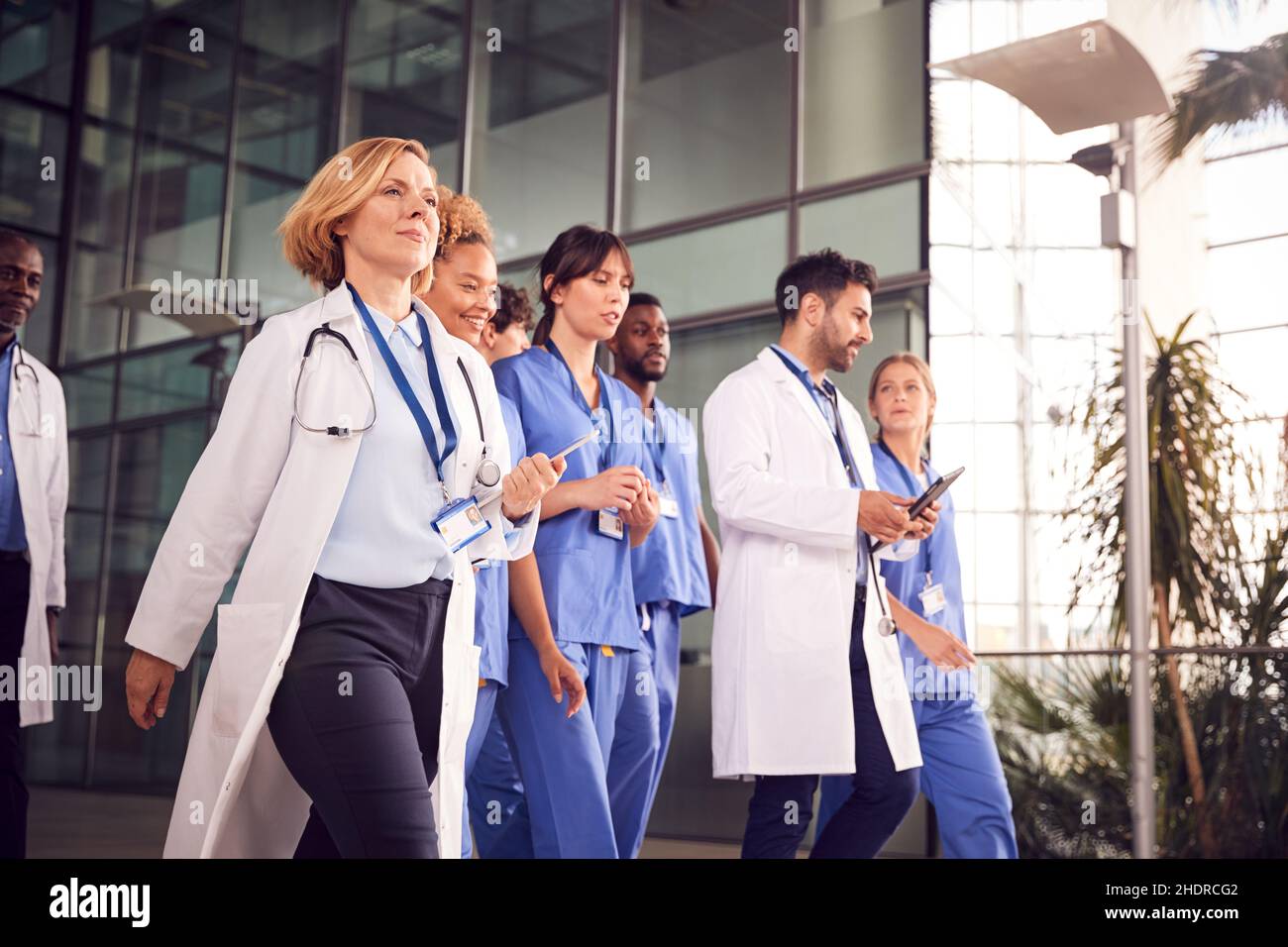 doctor, hospital, nurse, staff, doctors, clinic, hospitals, medical ...