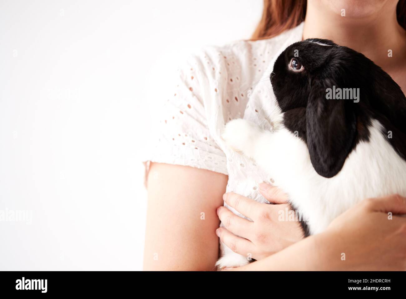 girl, pets, rabbit, girls, pet, rabbits Stock Photo - Alamy