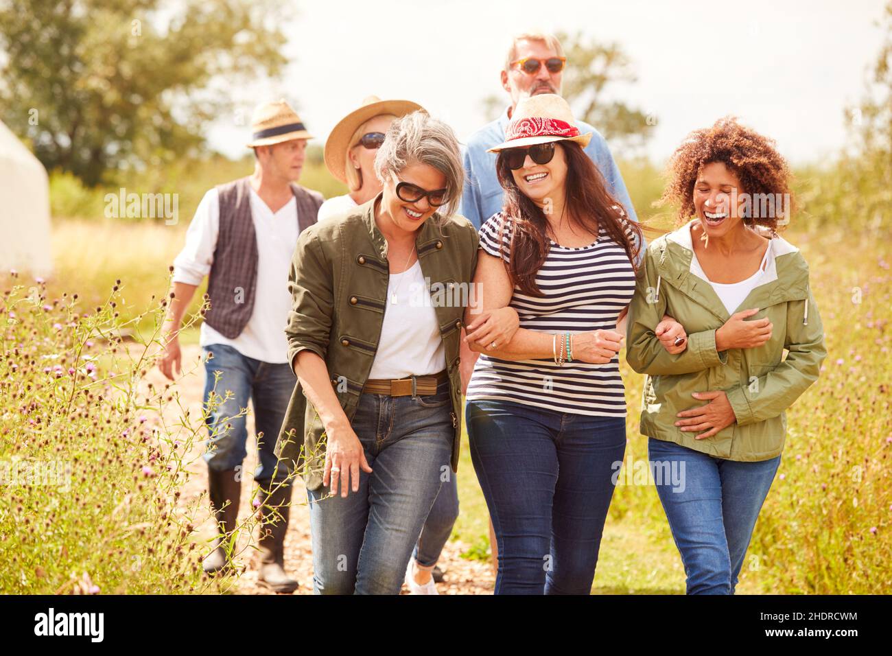 walk, excursion, friends, walks, excursions, trip, trips, friend Stock ...