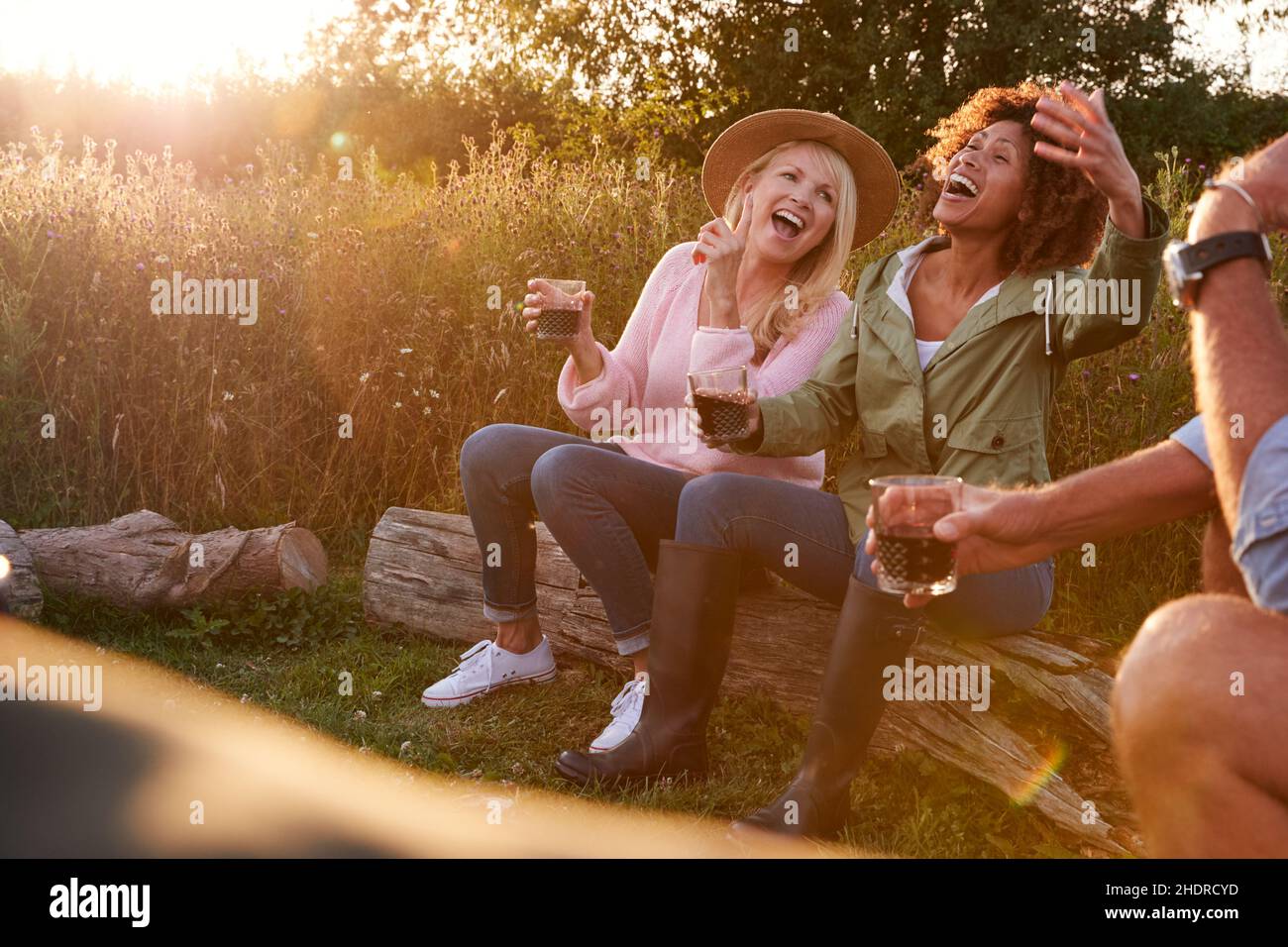 happy, alcohol, friends, camping, summer evening, happies, alcohols ...