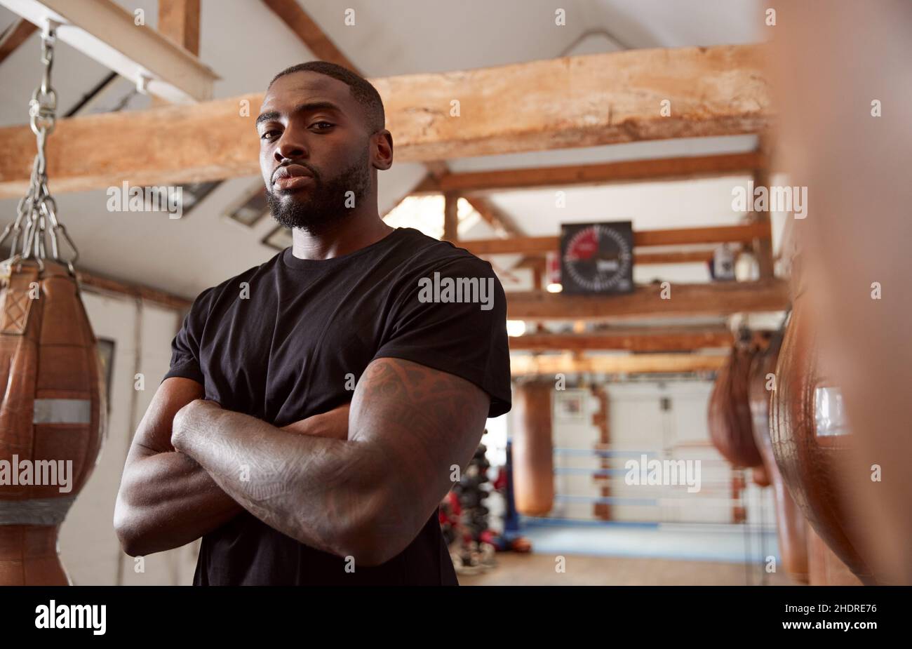 portrait, muscular build, boxer, portraits, muscular builds, boxers ...