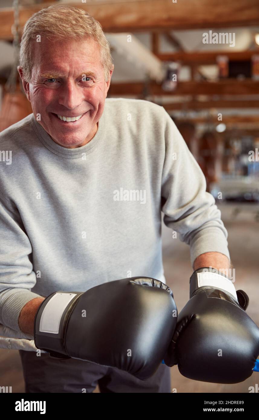 Are Boxers Good For Seniors at Bianca Agnes blog