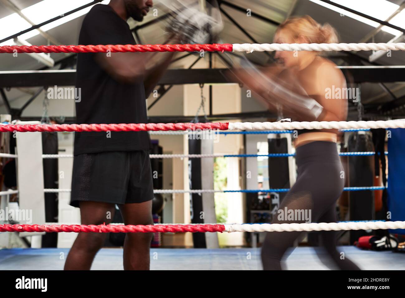 boxing, workout, boxing ring, fighting, workouts, fighting ring Stock ...