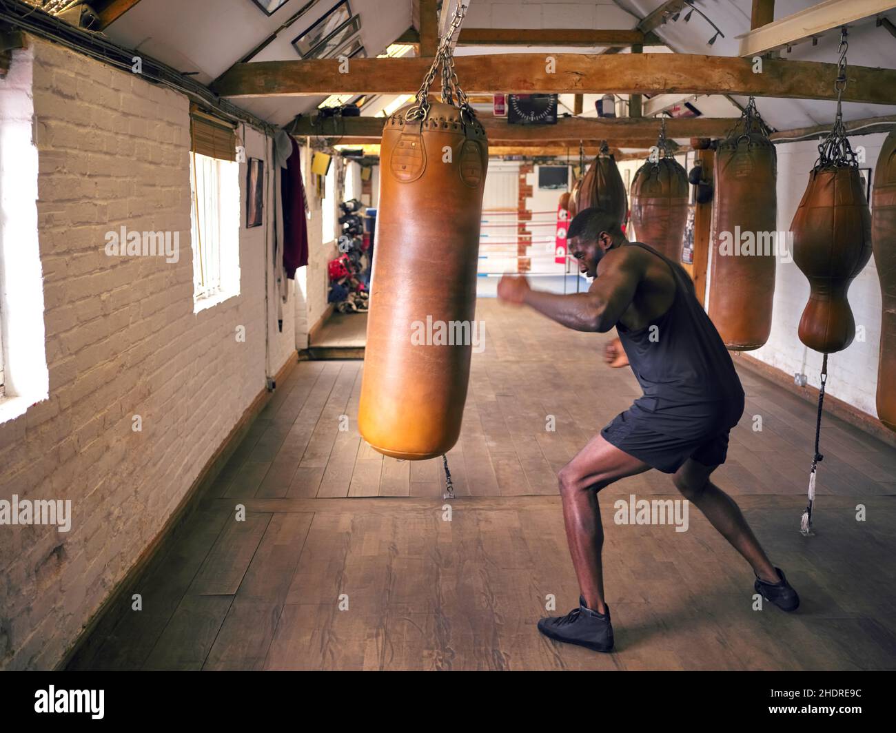 sports training, boxing, boxer, exercise, exercising, fighting, boxers ...