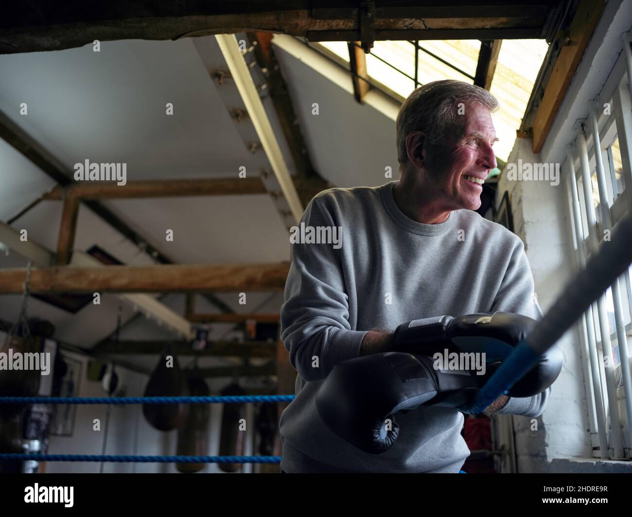 resting, active seniors, boxer, rest, elderly, fit, old, senior ...