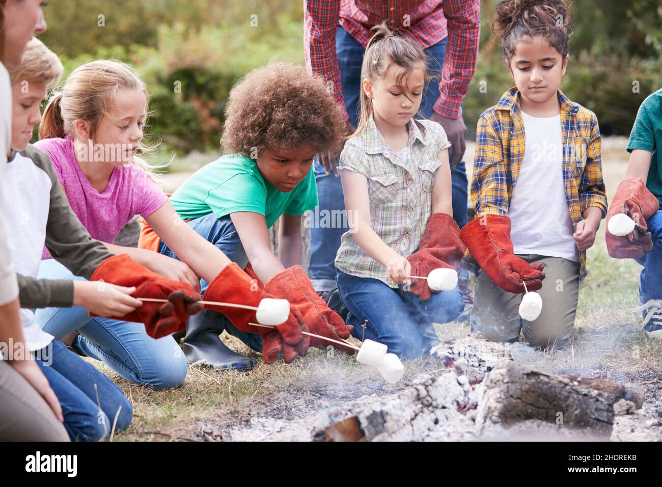childhood, campfire, fire pit, marshmalow, childhoods, children, kid ...