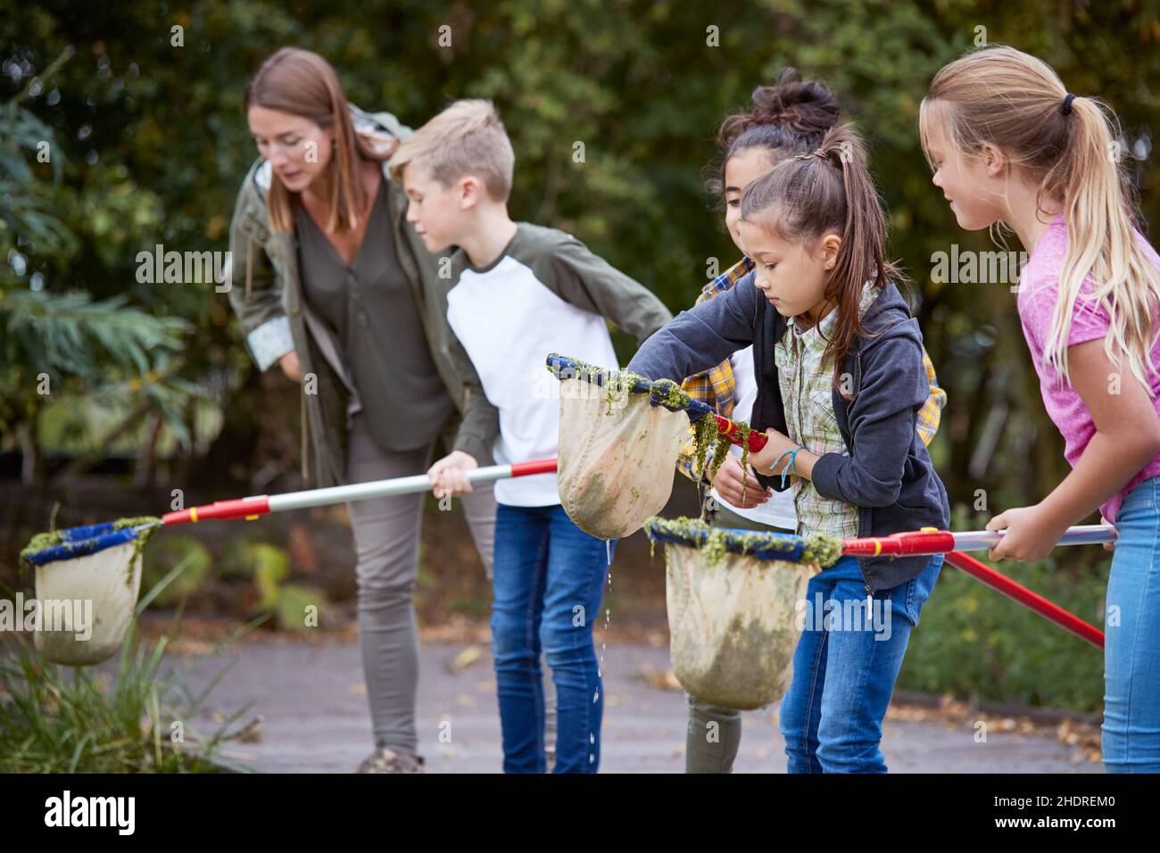 algae, childhood, algaes, childhoods, children, kid, kids Stock Photo ...