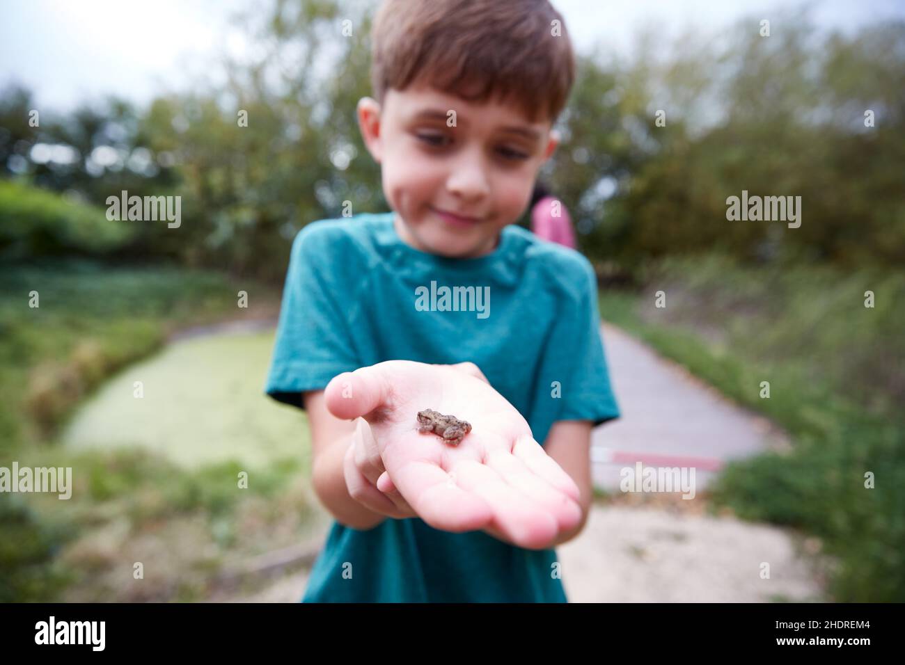 boy, frog, boys, frogs Stock Photo - Alamy