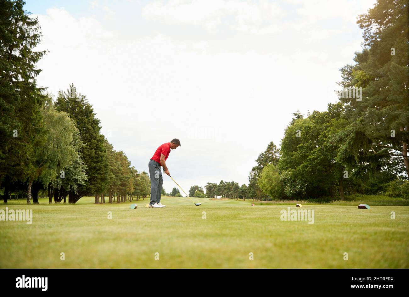 golf course, golfing, golfer, golf courses, golf, golfers Stock Photo ...