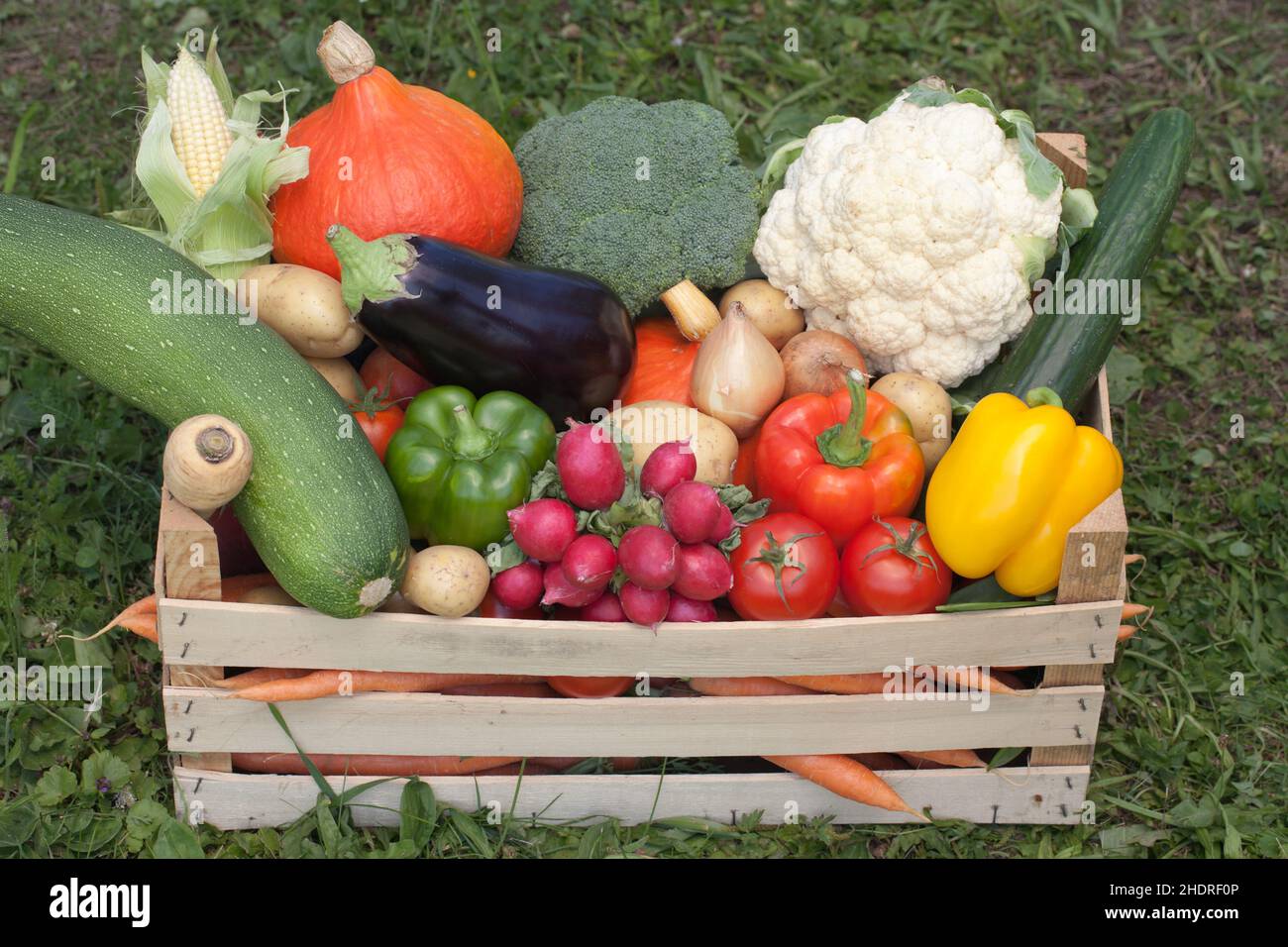 healthy diet, vegetable, harvest, healthy, healthy food, low fat ...
