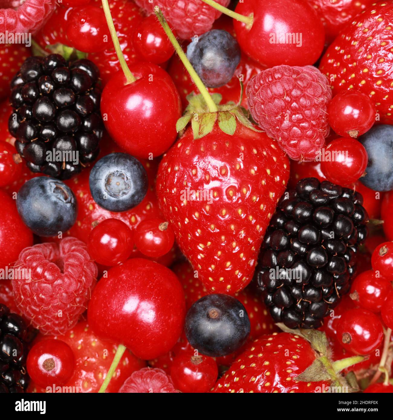 berry, berries, berry variety Stock Photo - Alamy