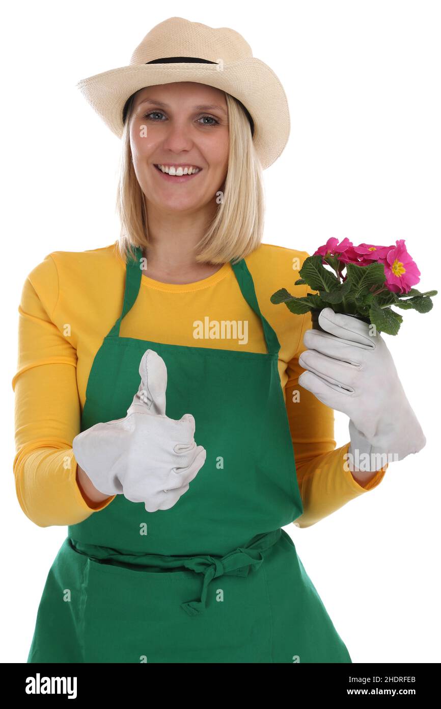 primrose, thumbs up, gardener, primroses, thumb ups, gardeners Stock ...